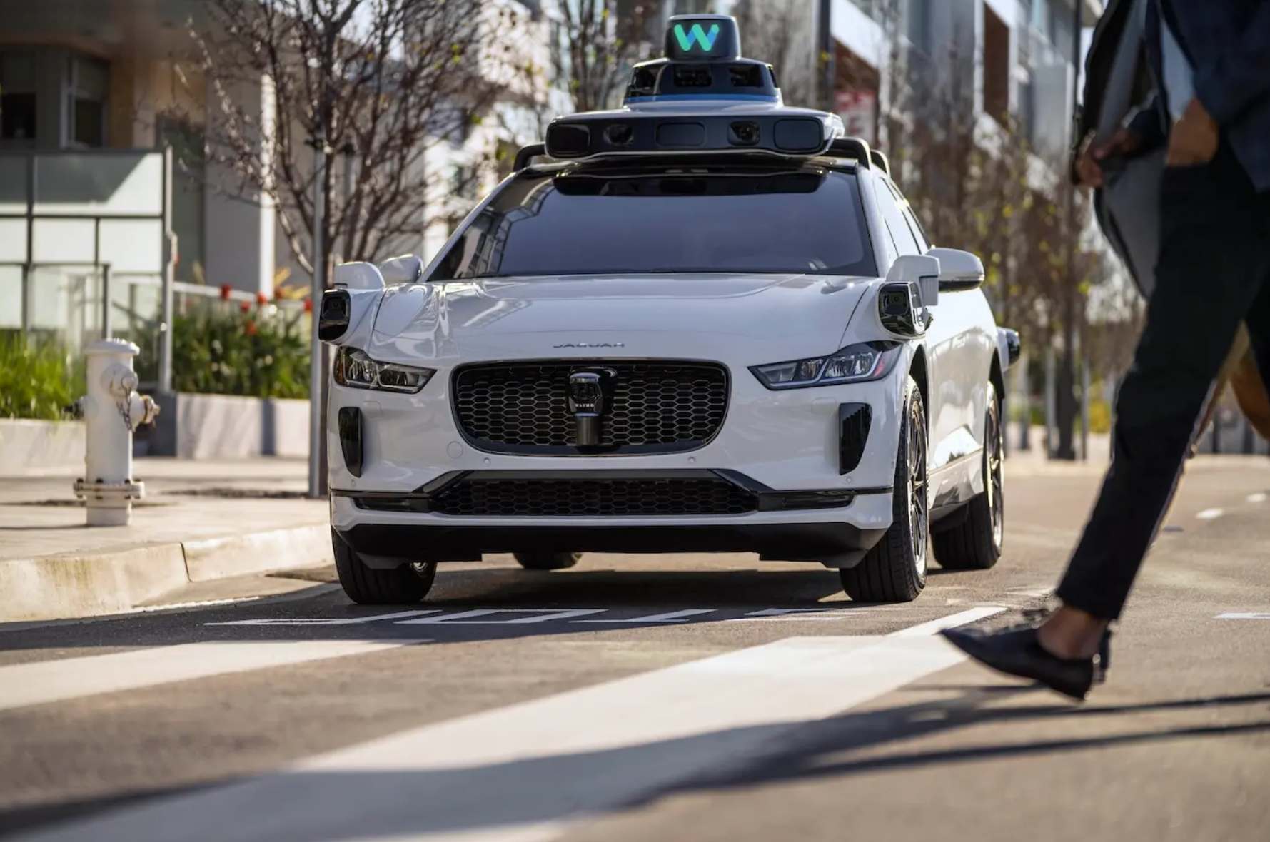 New Robotic Jam: Waymo Launches Robotaxis Despite San Francisco’s ...