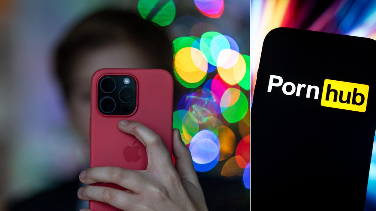 Laws protecting children from online porn are winning in some states as ...