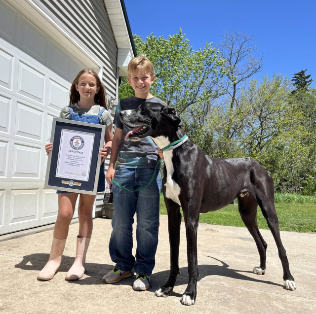 "뒷발로 서면 2m13㎝"…‘세계 최장신 개’ 케빈, 기네스 기록 남기고 하늘로