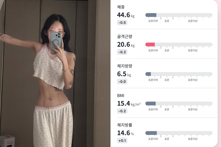 ‘故 최진실 딸’ 최준희, 초슬렌더 체성분 인증…44kg에 체지방은 6.5kg뿐