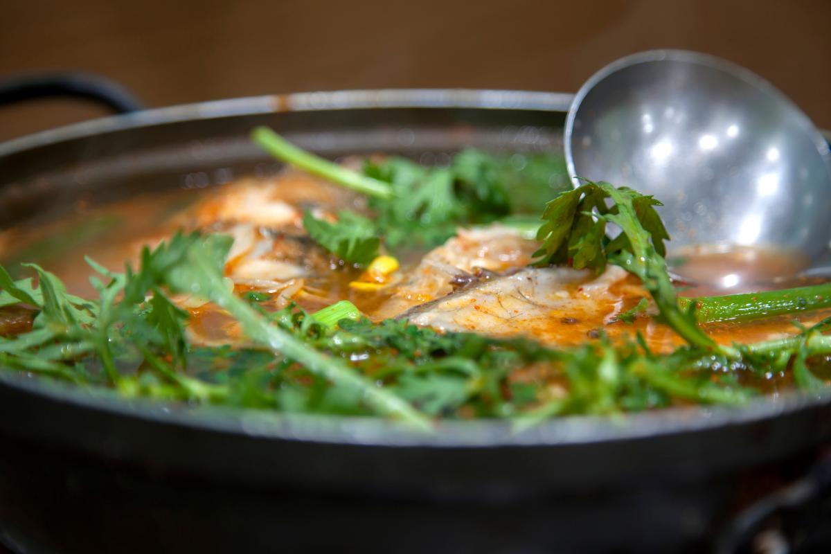 '생방송 투데이' 메기 매운탕 맛집 위치 | 위키푸디