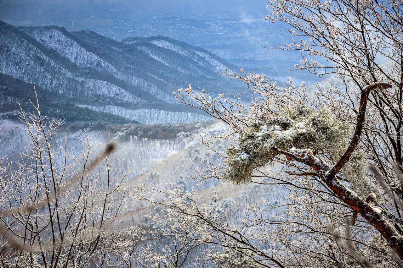 “해발 582m인데 북한산 일출 안부럽네요” 광교산 등산코스 깔끔 정리 | 인포매틱스뷰