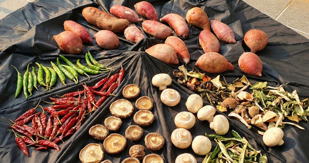 망가진 우산 절대 그냥 버리지마세요…이걸 왜 이제야 알았을까요 | 위키트리