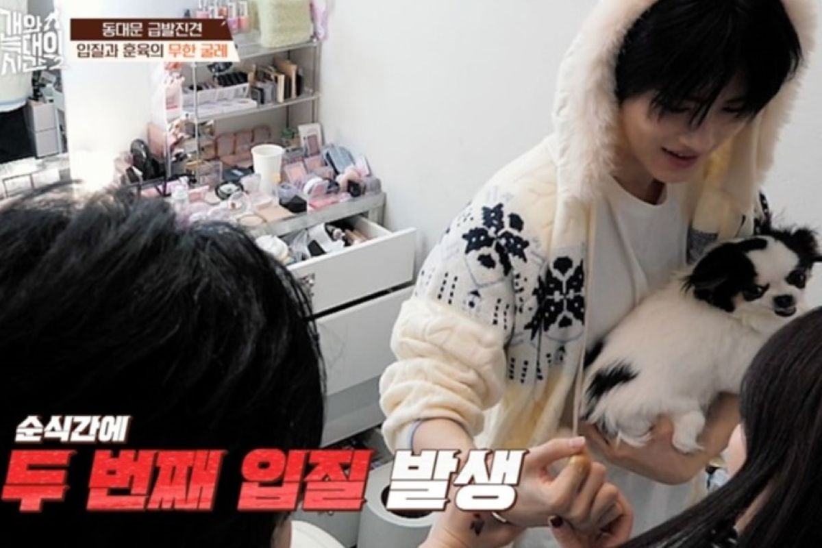 ‘갑질 논란’ 강형욱, 복귀 후 ‘위급 상황’… | 논현일보