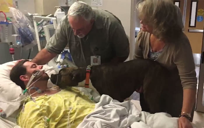 뇌출혈로 쓰러져 죽음 앞둔 주인을 보자마자 반려견은 이렇게 행동했다 | 애니멀플래닛