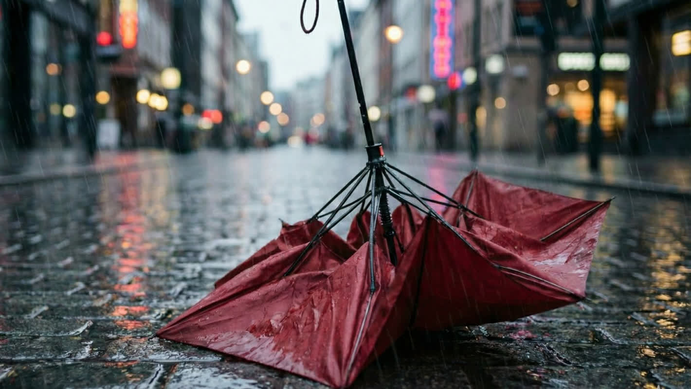 망가진 우산 절대 그냥 버리지마세요…이걸 왜 이제야 알았을까요 | 위키트리